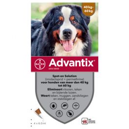 Advantix Spot-On Hond 600/3000 40-60kg - 4 pip | VoorMijnDier.nl
