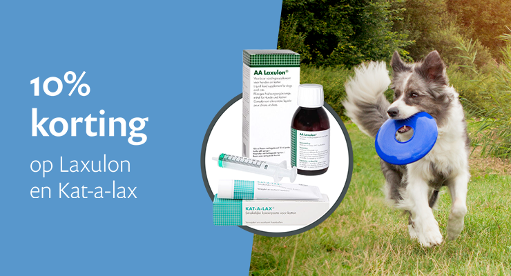 Verlichting van verstopping bij je huisdier. Hoe laxeer je je hond of kat?